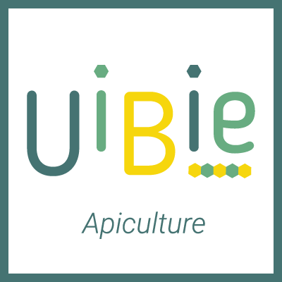 Uibie : apiculture urbaine avec Jason Garitan